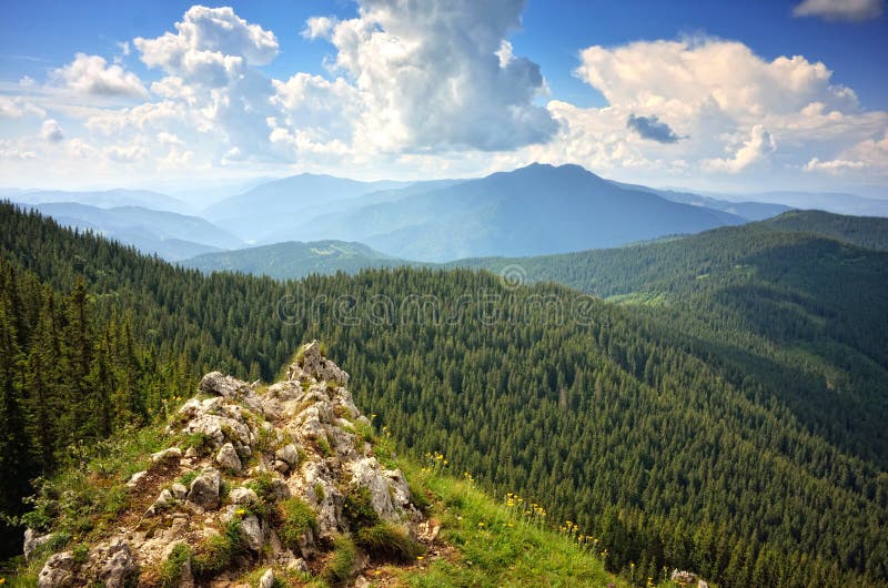 Granskog I Oklarheter Foton - Gratis och royaltyfria stockfoton från ...