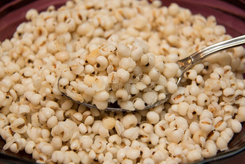 Granuli del miglio immagine stock. Immagine di nave, salute - 73165691