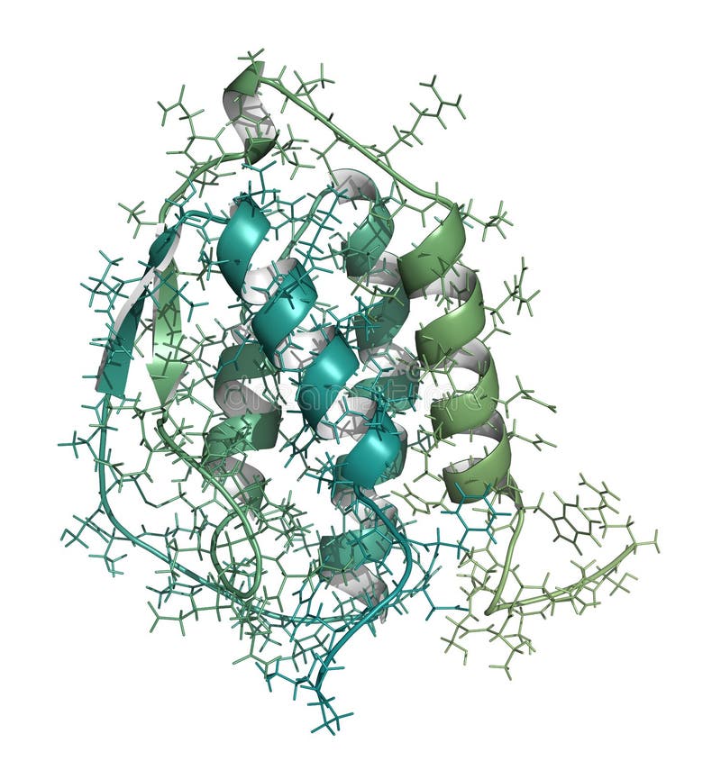 Granulocyte-macrophage Colony-stimulating Factor (GM-CSF, Molgramostim ...