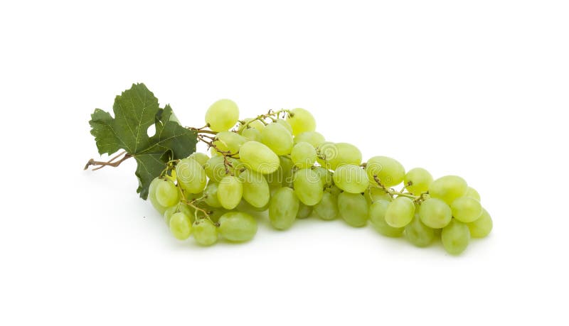 Grape stock image. Image of produce, grapes, food, white - 10269949