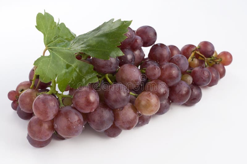 Grape stock image. Image of grape, background, green - 15410865