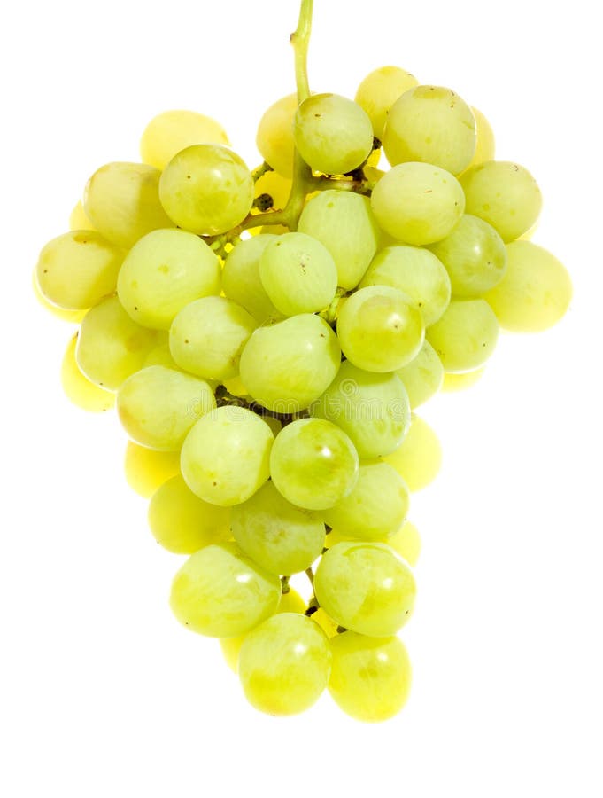 Grape stock image. Image of close, closeup, food, white - 15433817