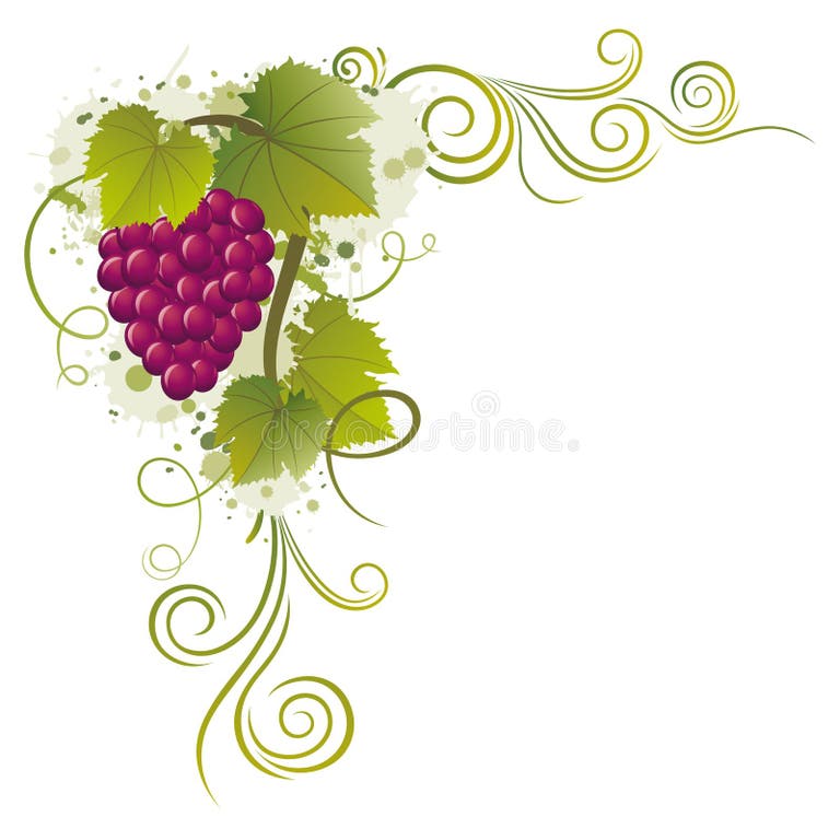 Grape Tree Stock Illustrations – 13,585 Grape Tree Stock Illustrations ...