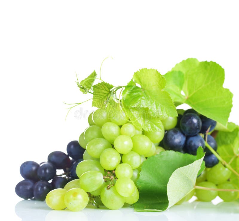 Three grapes with leaves stock image. Image of farm, blue - 7467011