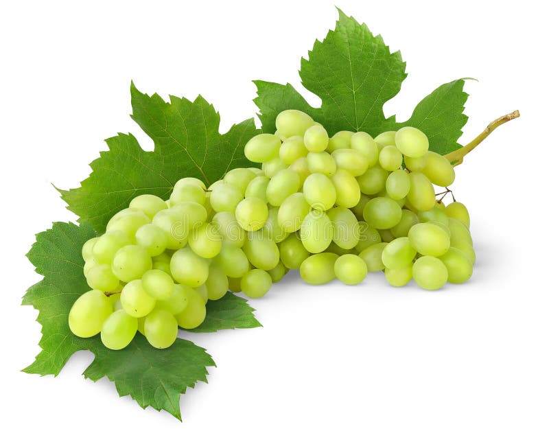 Isolated white grapes stock image. Image of ingredient - 16415905