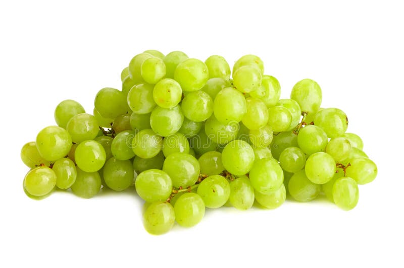 Grape stock image. Image of nature, drop, harvest, farming - 17152199