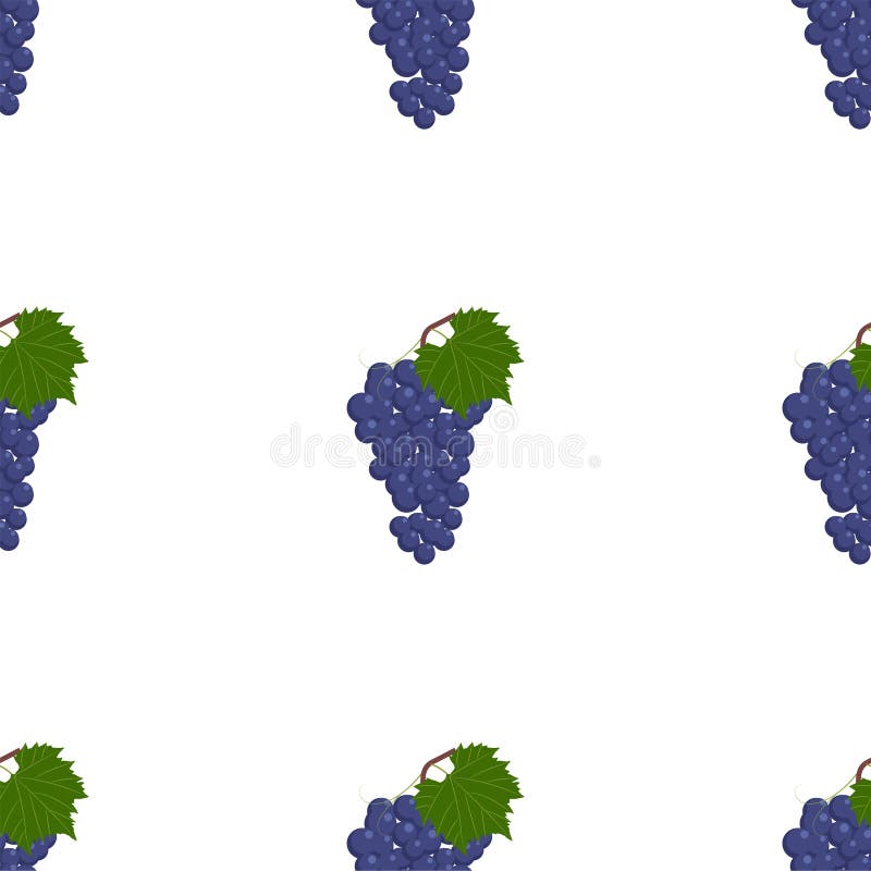Grapes. Seamless Vector Patterns Stock Vector - Illustration of berries ...