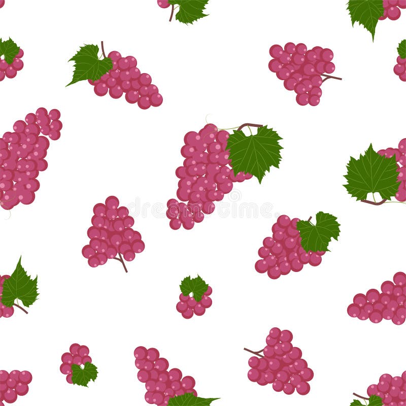 Grapes. Seamless Vector Patterns Stock Vector - Illustration of ...