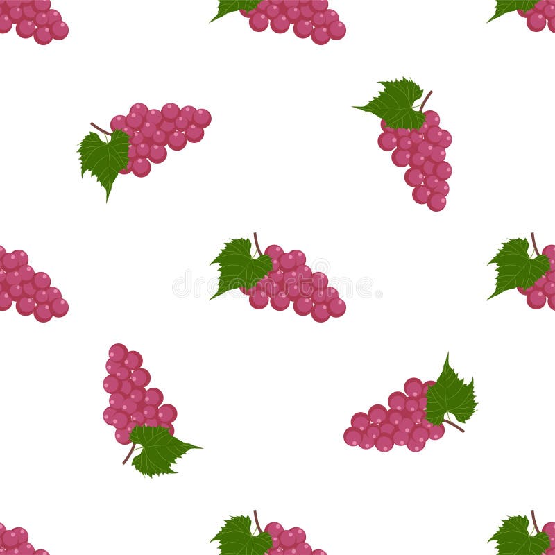 Grapes. Seamless Vector Patterns Stock Vector - Illustration of berries ...