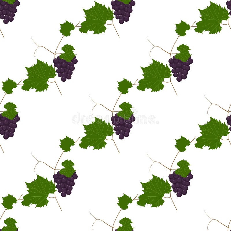 Grapes. Seamless Vector Patterns Stock Vector - Illustration of ...