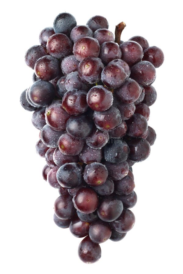 Grape stock image. Image of sweet, fruit, grape, fresh - 19891841