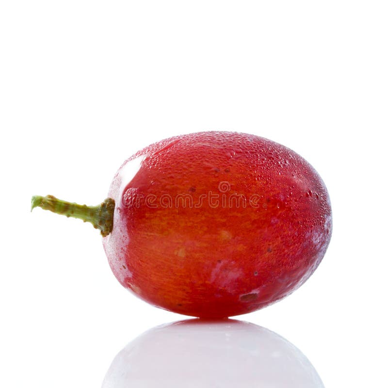 Grape single stock image. Image of isolation, grapes, table - 937221