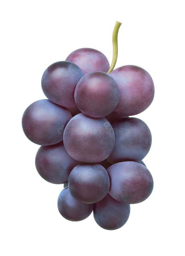 Grape stock image. Image of healthy, making, branch, meals - 23915527