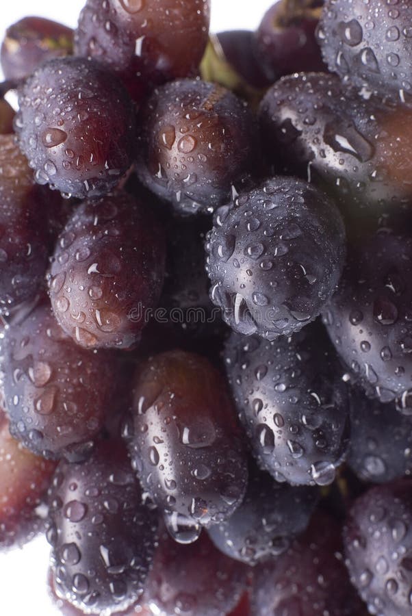 Sky Champagne stock photo. Image of alcohol, cold, bright - 2443774