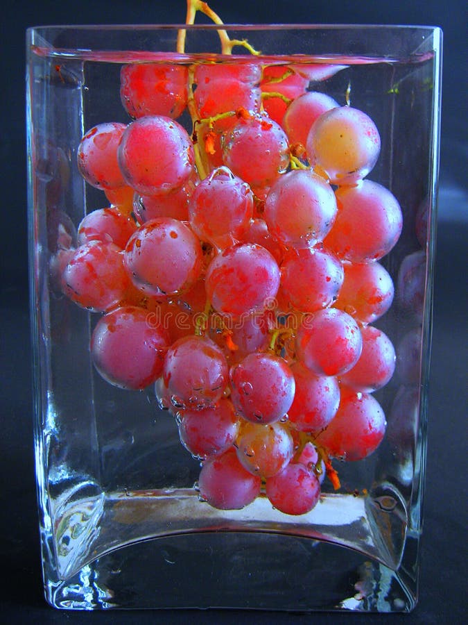 Grape stock image. Image of luxury, juices, drink, hedonistic - 6957543