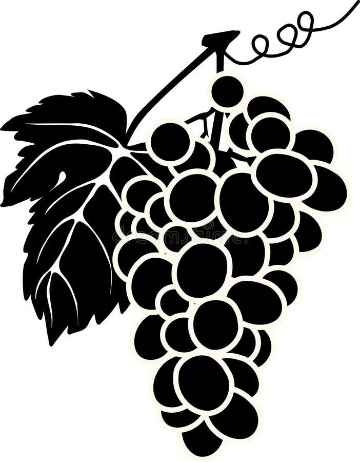 Grape stock vector. Illustration of ripe, branch, vector - 32448135
