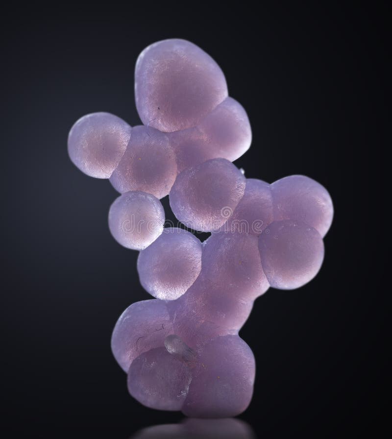 Grape Agate Mineral Specimen Stone Rock Gem Geology Stock Photo - Image ...