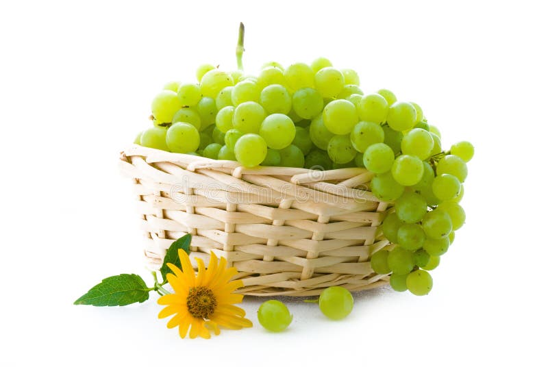 Grape in basket stock photo. Image of bunch, basket, vitamins - 10645252