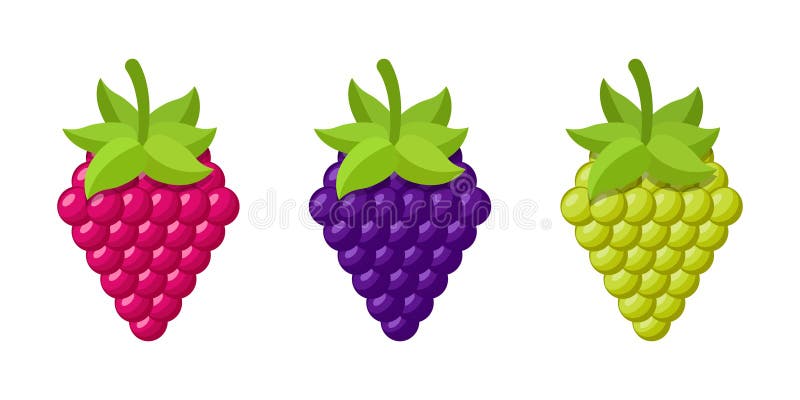 Grape, Blueberry, Raspberry Fruit Icon Set Collection in Flat Style ...