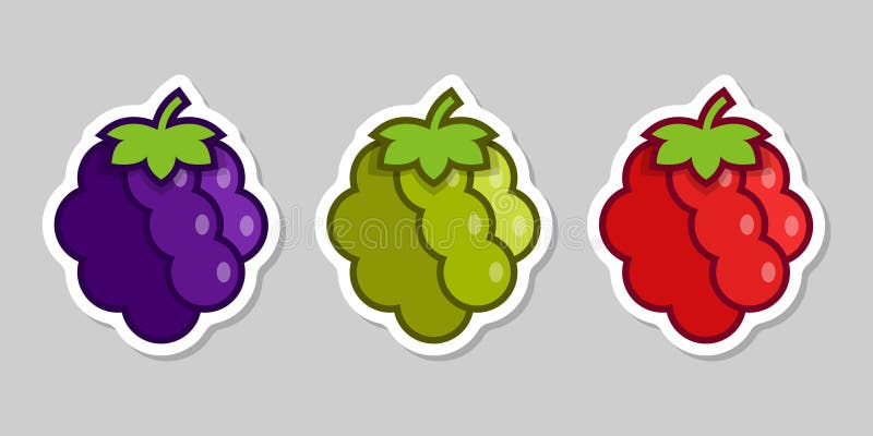 Grape, Blueberry, Raspberry Sticker Fruit Icon Set Collection in Flat ...
