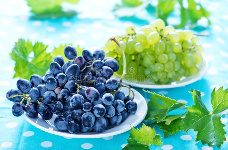Grape stock image. Image of harvest, drop, dessert, berry - 60136307