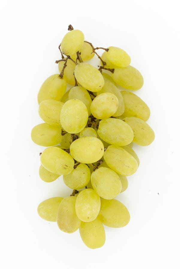 Grape branch, close-up editorial image. Image of freshness - 221222810