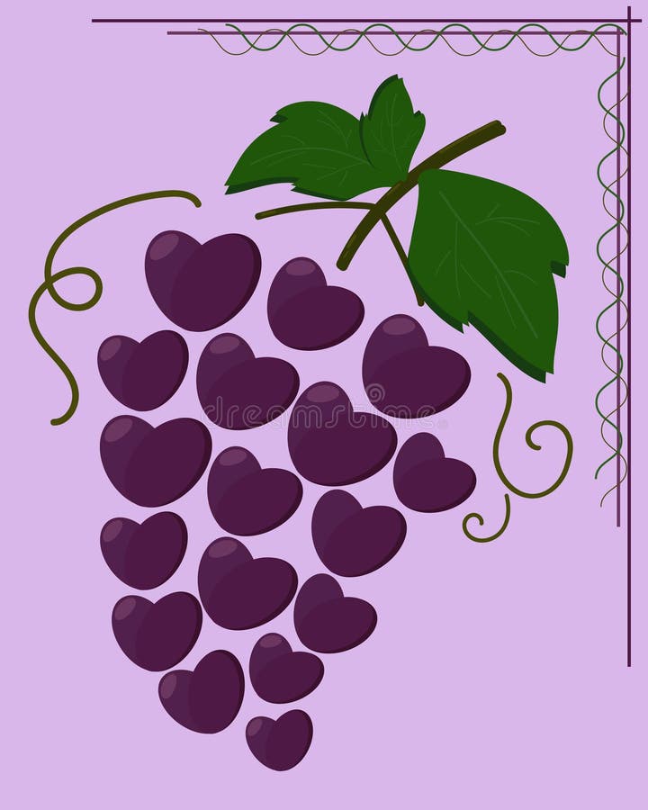 Grape Branch Whose Berries are Like a Heart Stock Vector - Illustration ...