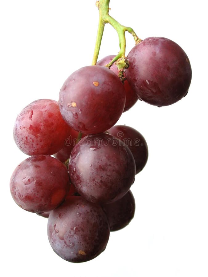 Grape bunch stock image. Image of insulated, appetizing - 1640877