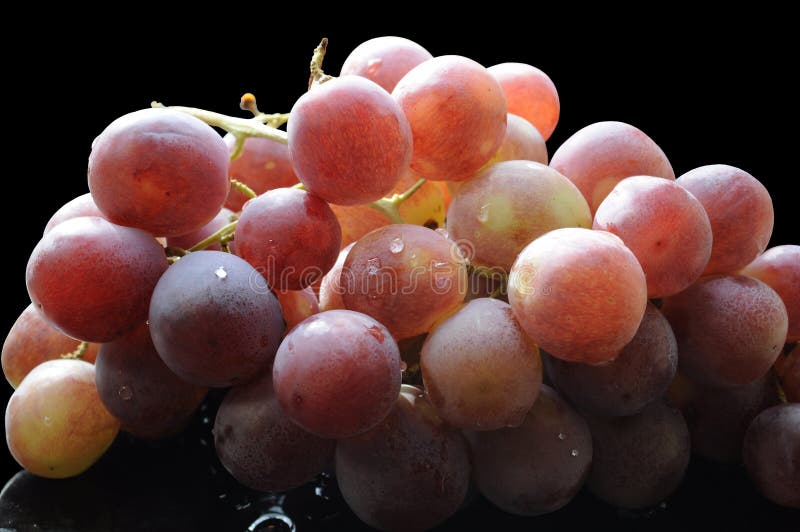 Grapes mixed stock image. Image of farm, bordeaux, fruit - 265491