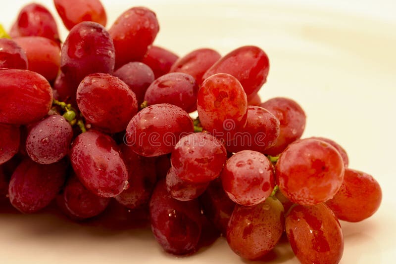 Grape Bunch stock image. Image of salad, lunch, fruity - 26429545