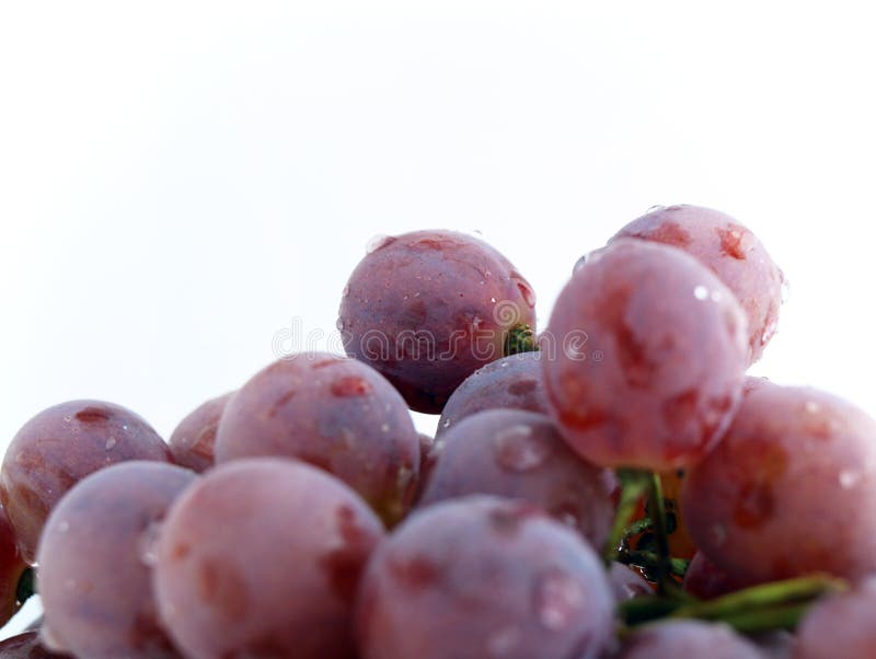 Grape Bunch Picture. Image: 3027372