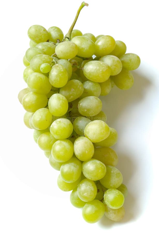 Grape bunch stock photo. Image of agriculture, macro, dessert - 3618286