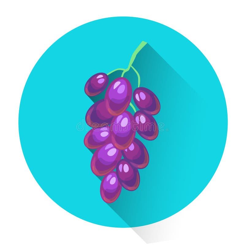 Grape Bunch Colorful Fruit Icon Stock Vector - Illustration of ...