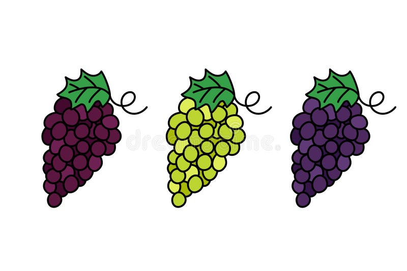Grape Bunch Doodles Set. Wine and Table Grapes Clusters. Various ...