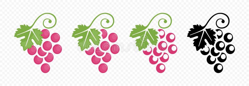 Grape Bunch with Grape Leaf Vector Design Stock Vector - Illustration ...
