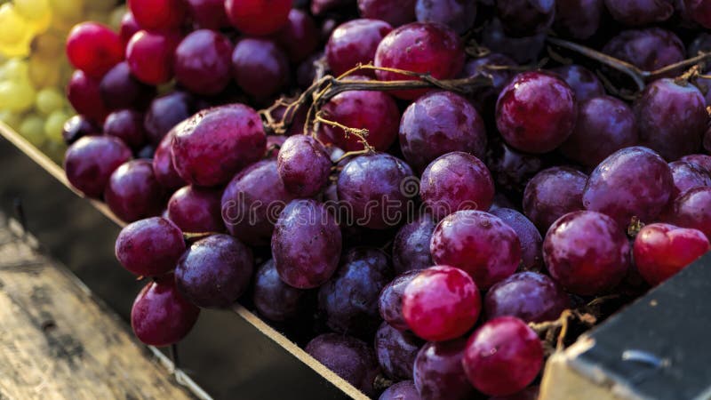 Grape, Bunch, Red Grapes, Fresh Raw Lot, Store Window Stock Photo ...