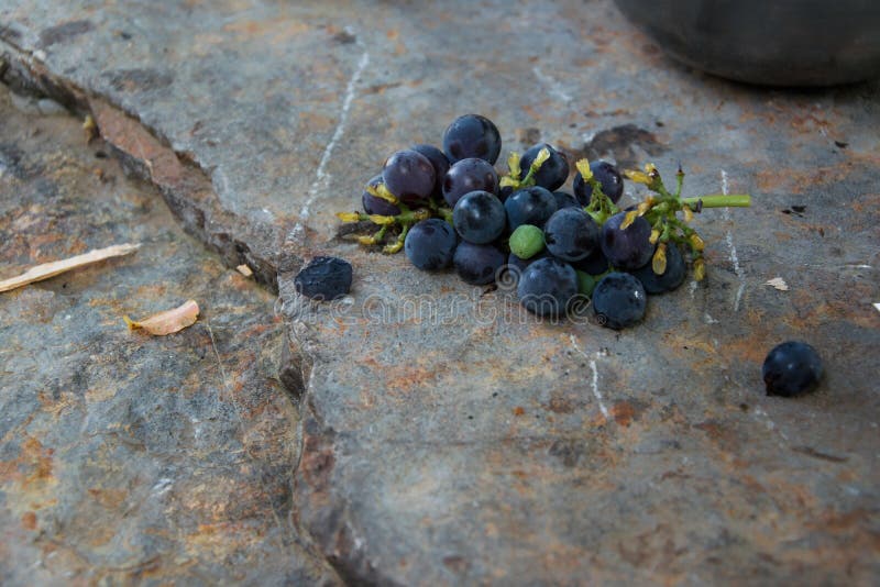Grape bunch on the table stock image. Image of concept - 104197527