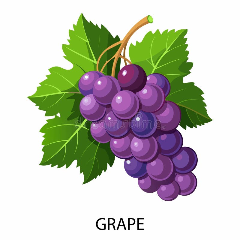 Grape in Cartoon Style on a White Background. Stock Illustration ...