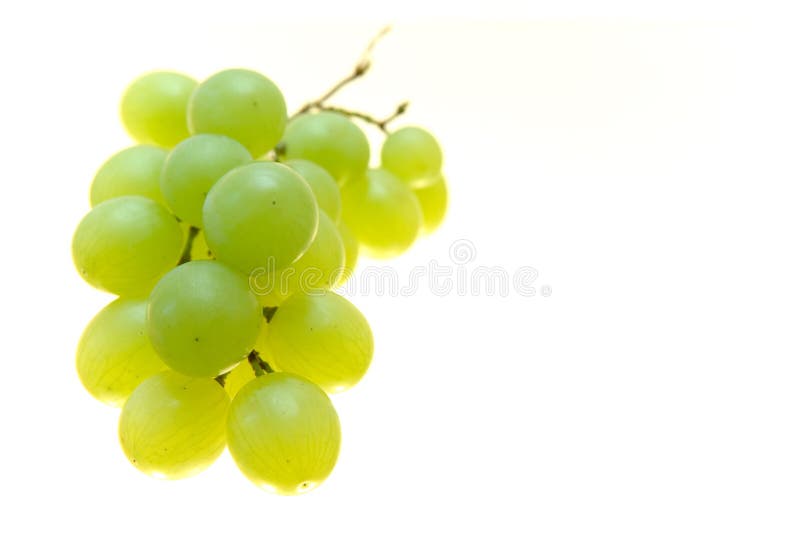 Grape Cluster stock photo. Image of plant, food, appetising - 1087986