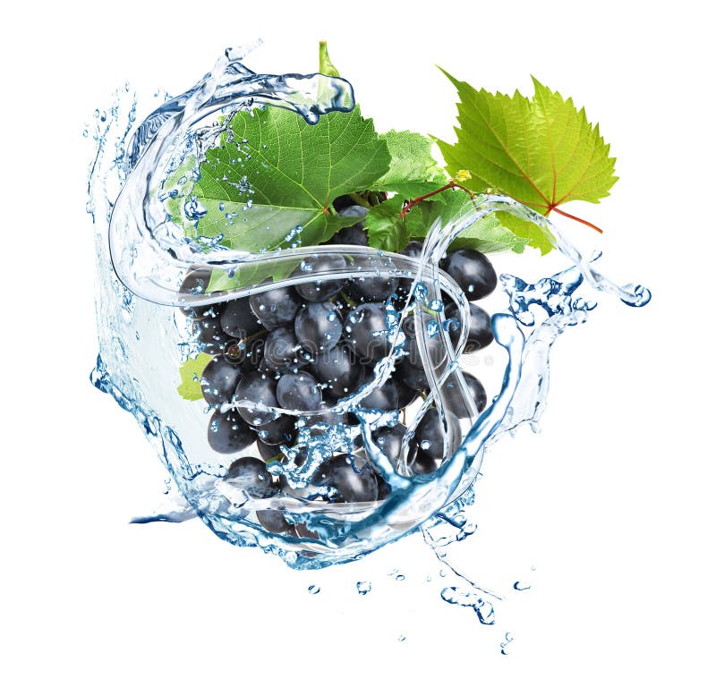 Grapes Water Splash Purple Stock Photos - Free & Royalty-Free Stock ...