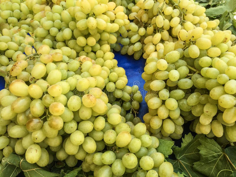 Grape Clusters, Grape Grain Stock Image - Image of cluster, advertising ...