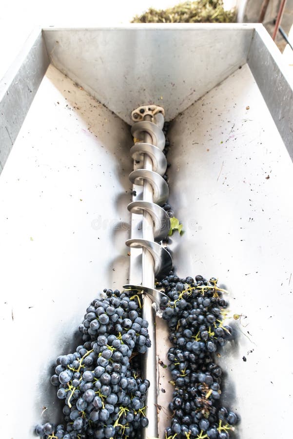 Grape crushing machine stock photo. Image of alcohol - 138029102