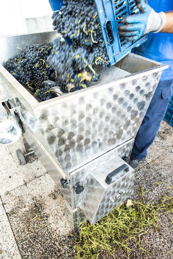 Grape crushing machine stock image. Image of production - 138023457