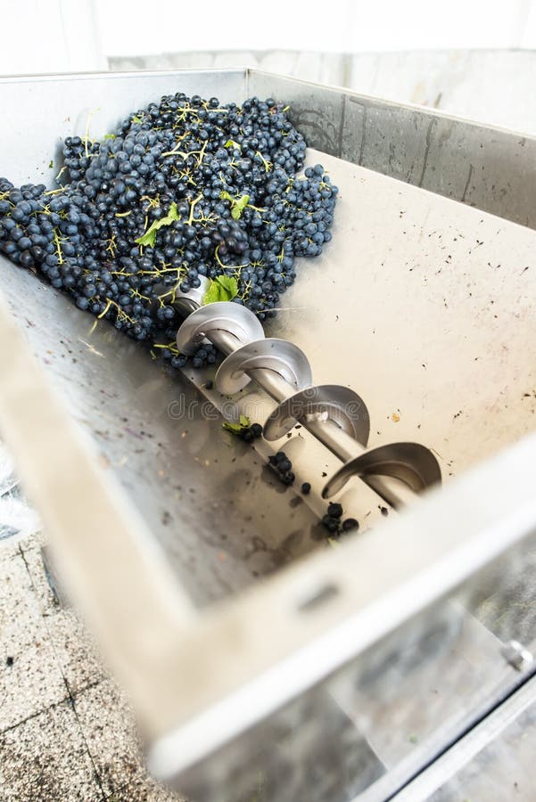 Grape crushing machine stock image. Image of grapes, pressure - 27081547