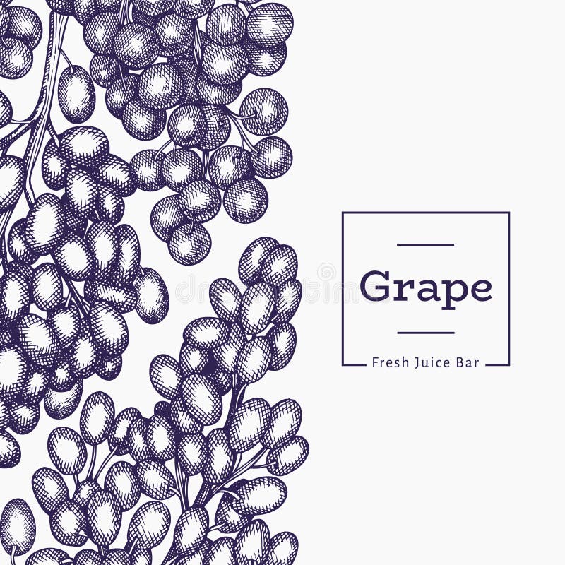 Grape Design Template. Hand Drawn Vector Grape Berry Illustration ...