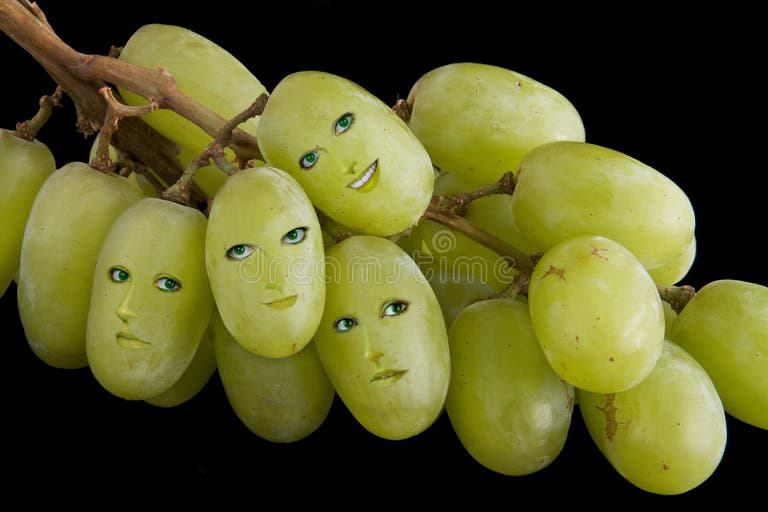 Grape faces stock photo. Image of eyes, isolated, fruit - 14422412