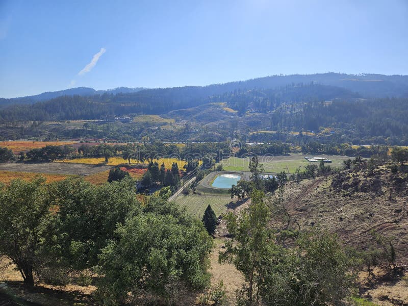 Grape Fields Forming Different Colors Outside of Sterling Vineyard in ...