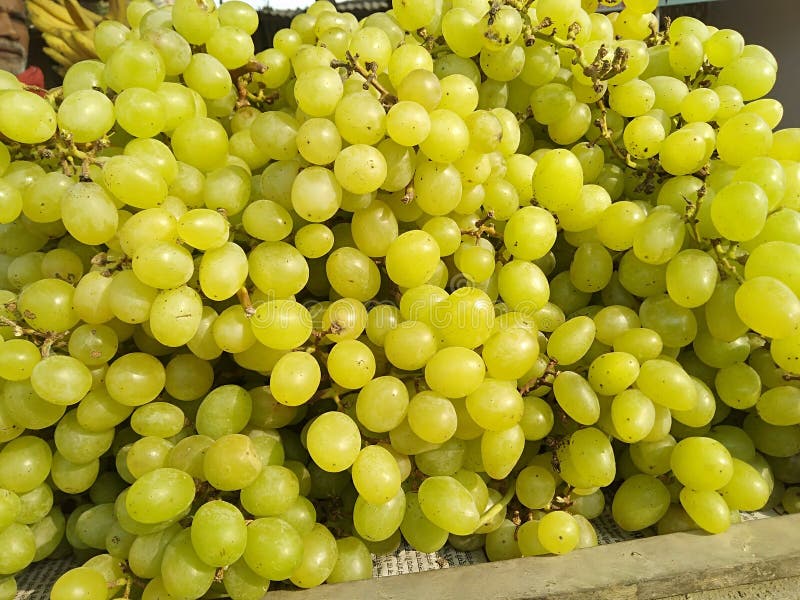 Grape Flakes of India and Baked Stock Image - Image of beautiful, view ...