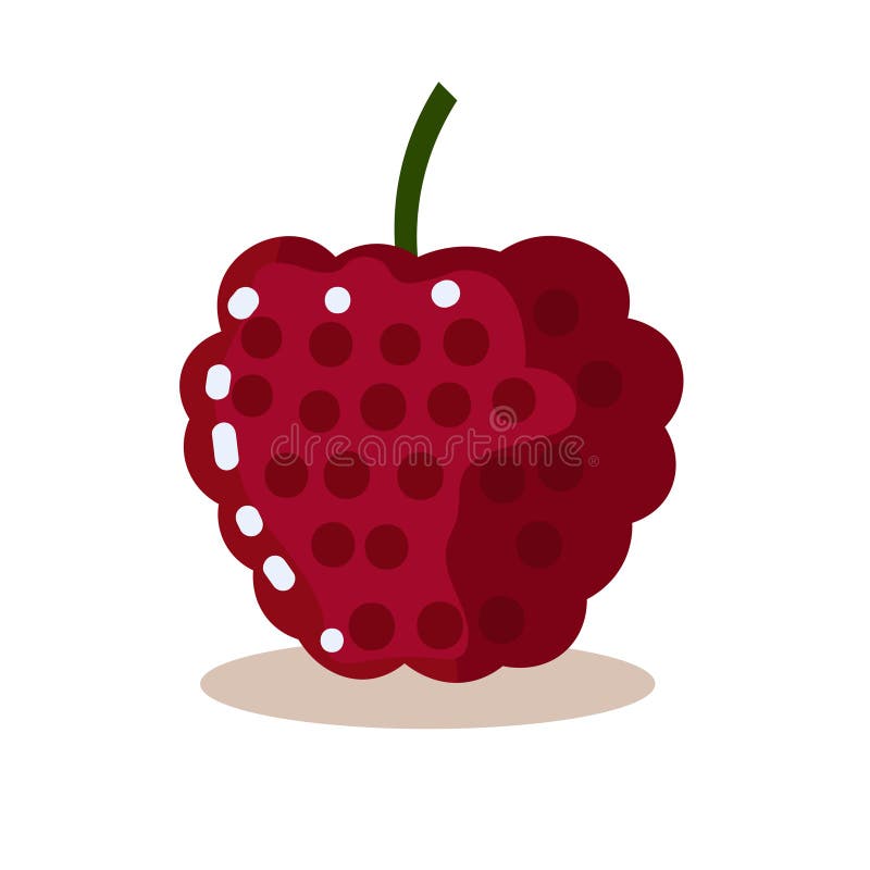 Buah Anggur Stock Illustrations – 3 Buah Anggur Stock Illustrations ...