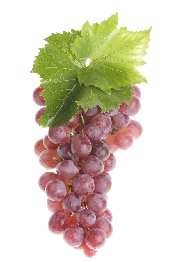 Grape food over white stock photo. Image of healthy, bunch - 6537746